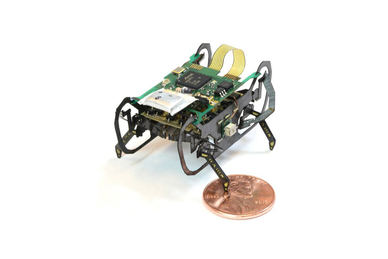 Crean robot del tamaño de una cucaracha | Buenas Nuevas