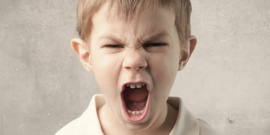 Hablemos de violencia: origen, prevención y recomendaciones para padres ...